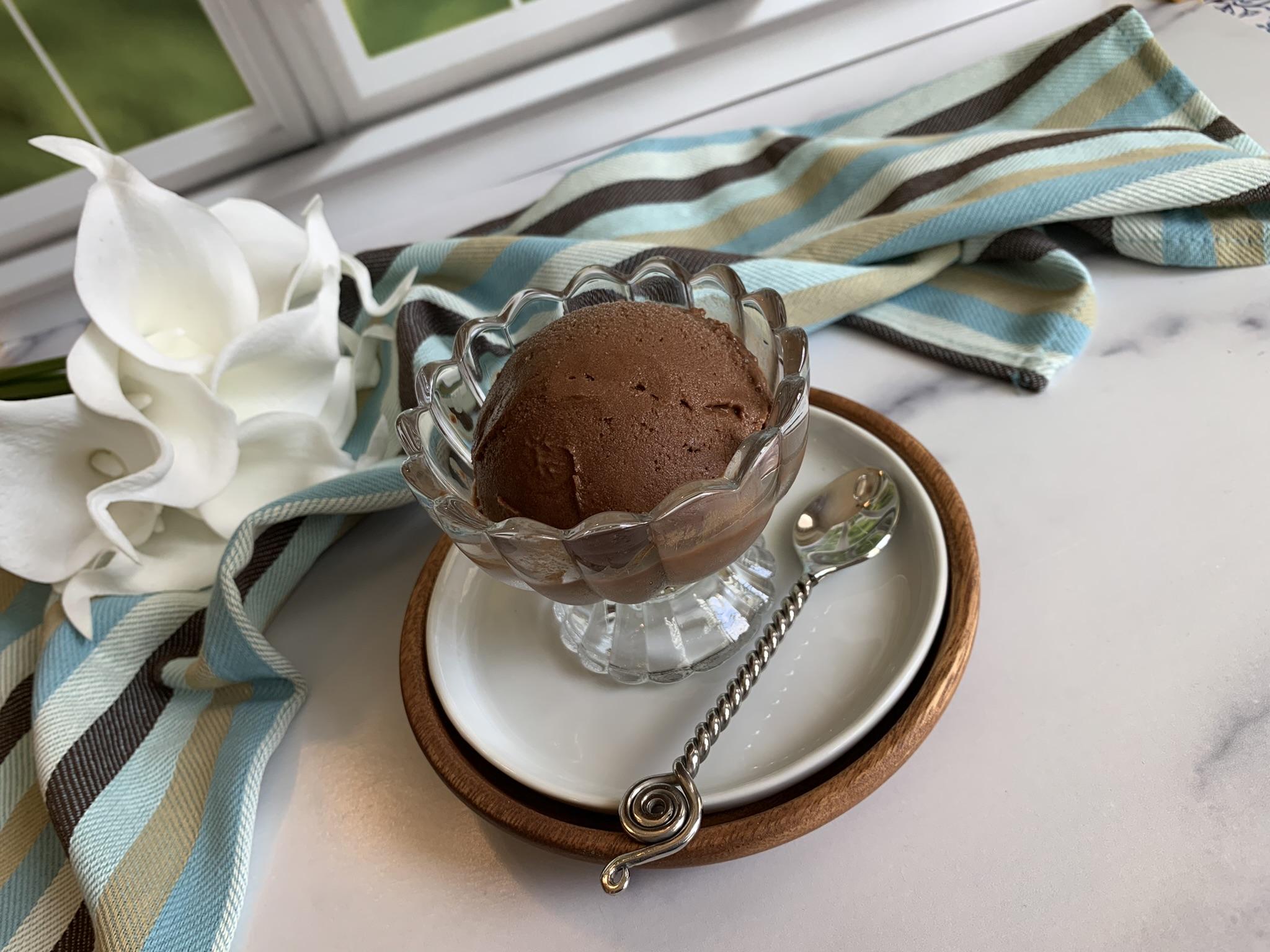 Ninja CREAMi Vegan Chocolate Fudgesicle Ice Cream - Nutmeg Notebook