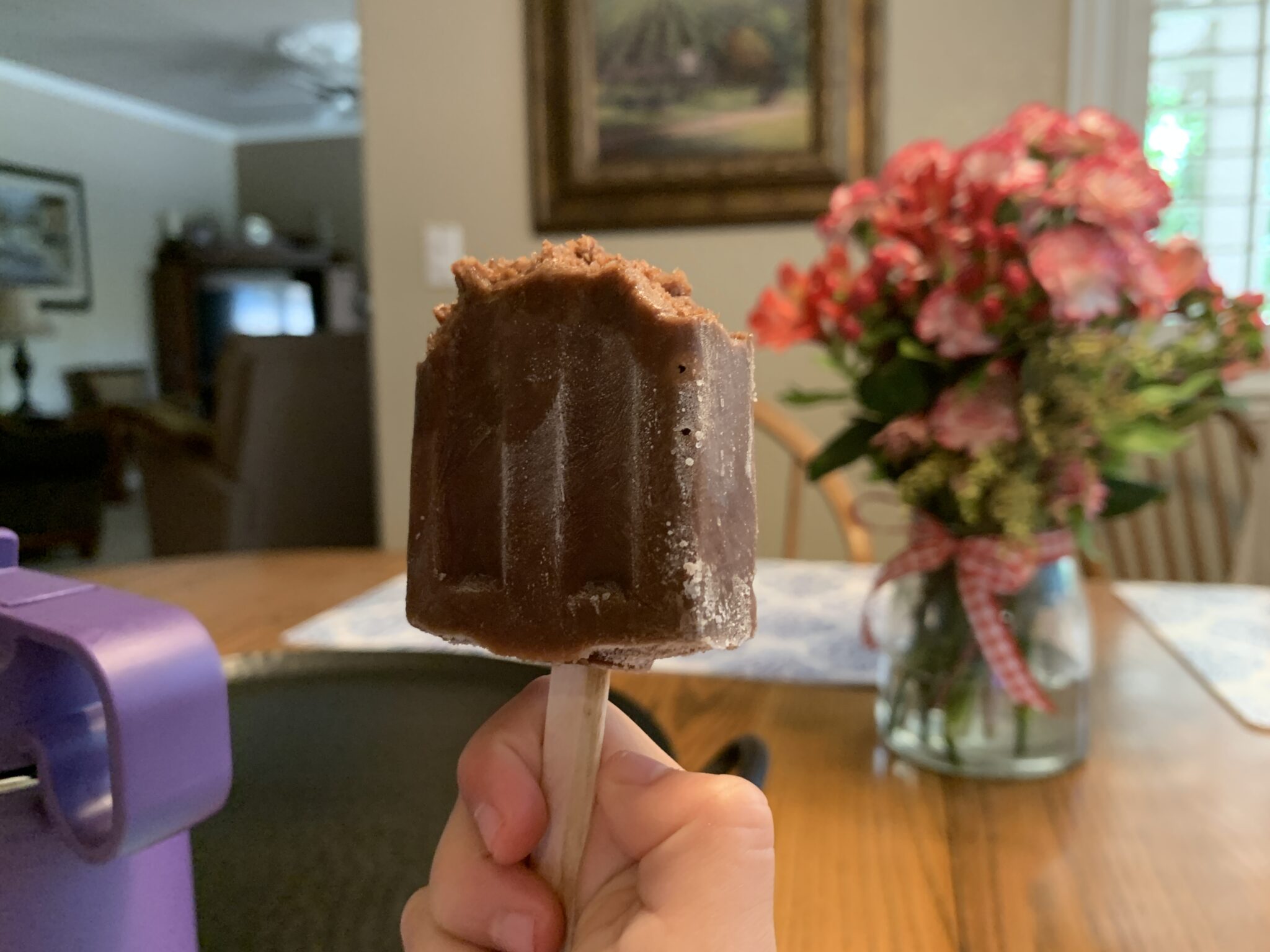 Chocolate Fudgesicles – Vegan - Nutmeg Notebook