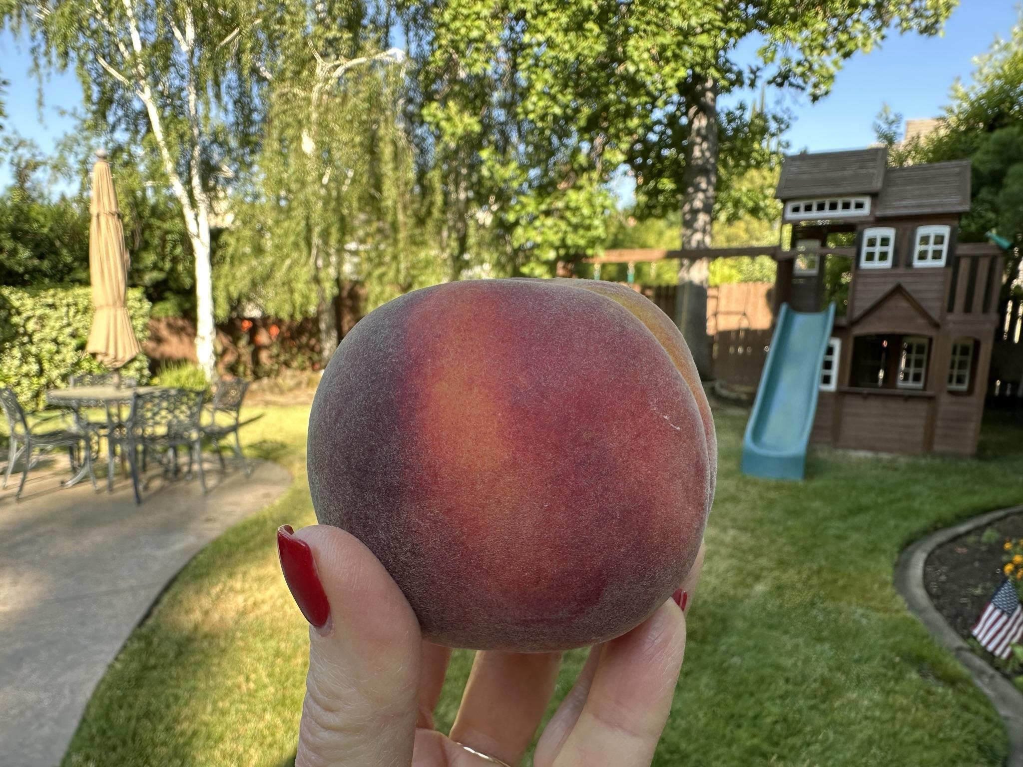 Best Vegan Peach Recipes - Nutmeg Notebook