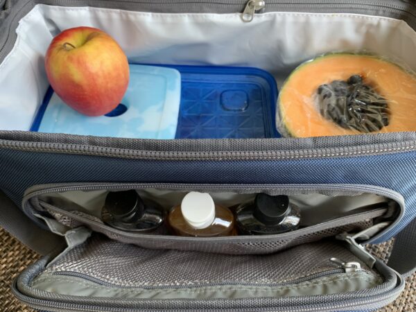 eBags Crew Cooler II Review - Nutmeg Notebook