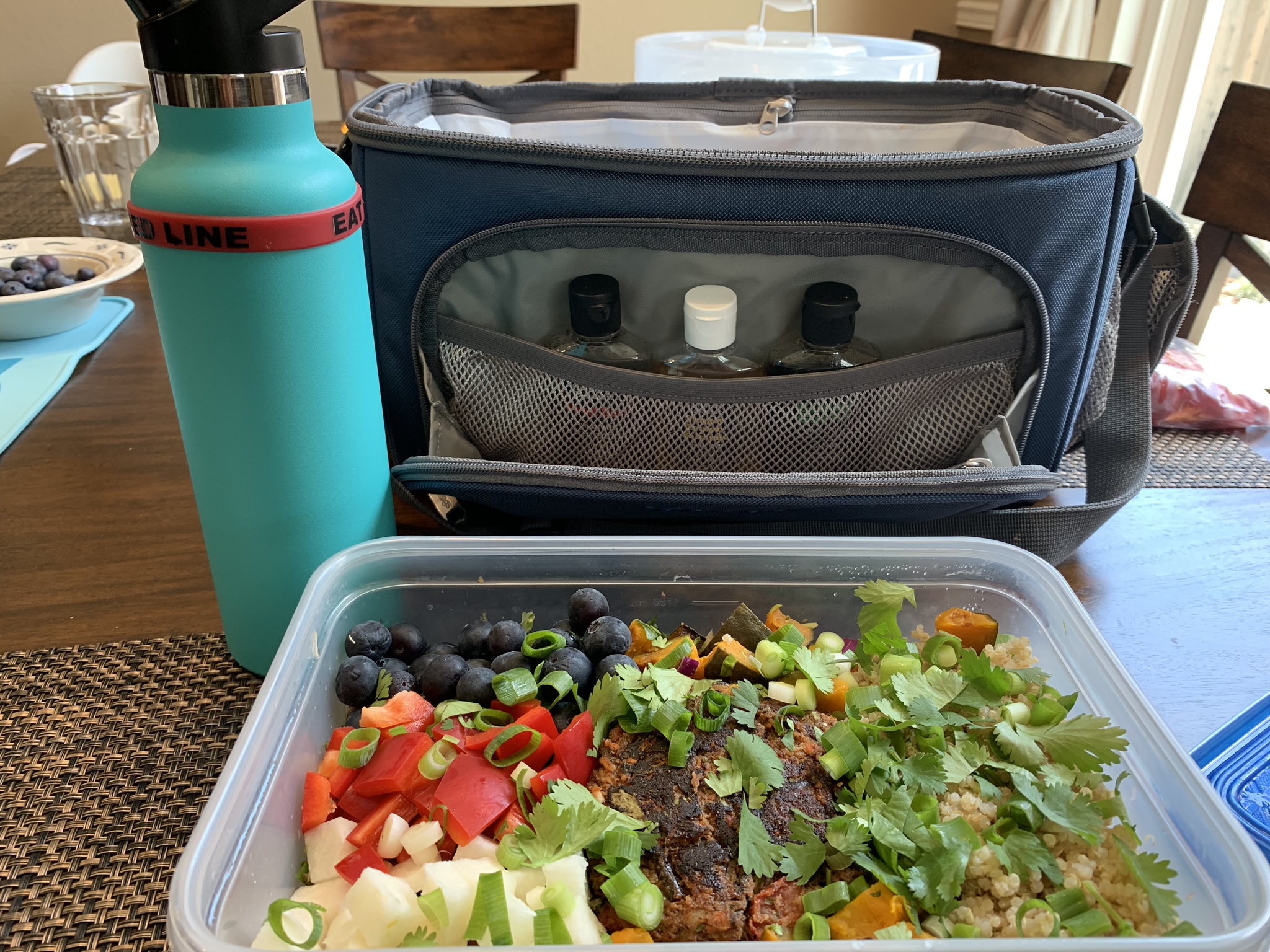 eBags Crew Cooler II Review - Nutmeg Notebook