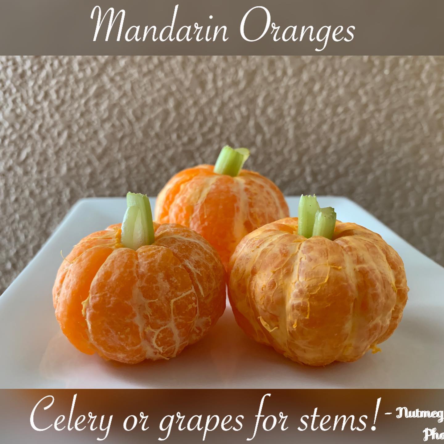 How To Make Tami’s Fruit Turkey Tray! - Nutmeg Notebook