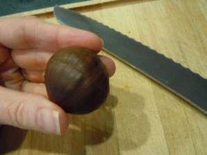 Roasted Chestnuts! - Nutmeg Notebook
